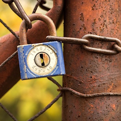 Bars of a Castle - Bulletin Digest