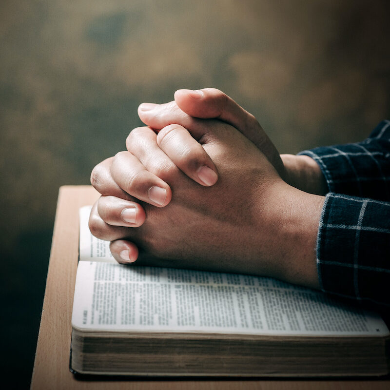 Heavy Hands of a Leader - Bulletin Digest