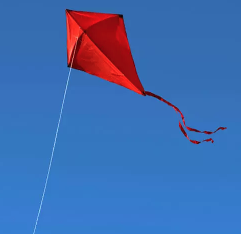 First a String - Bulletin Digest